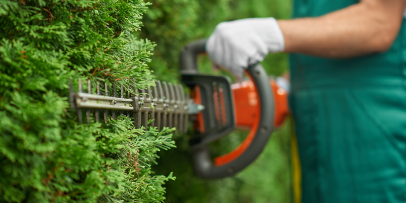 Najbolji trimeri za travu - Kako odabrati pravi model?